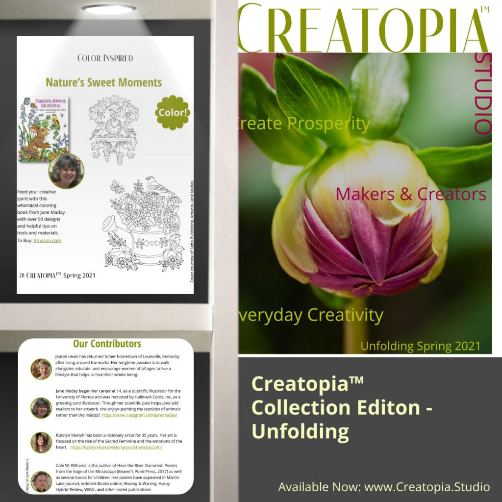 Coloring Fun and Games - Creative Spotlight: Jane Maday - Creatopia